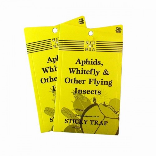 Flying Insect Sticky Trap - Bulk Pack of 6 - Perth Aquaponics